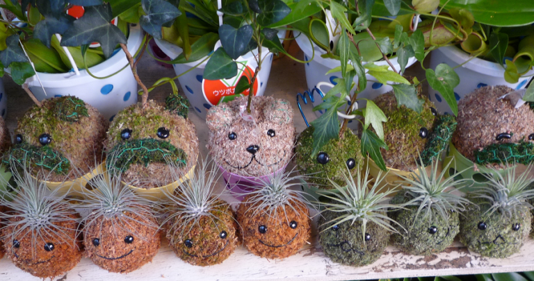 The History of Kokedama – Culture Sushi